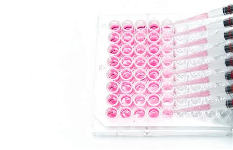 멀티 채널 피 펫 및 세포 기반 분석 결과 대 한 96 잘 투명 플레이트 마이크로플레이트에 대한 스톡 사진 및 기타 이미지