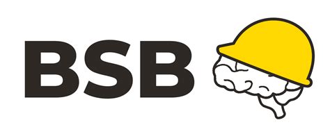 GitHub Dbbs Lab Bsb The Brain Scaffold Builder