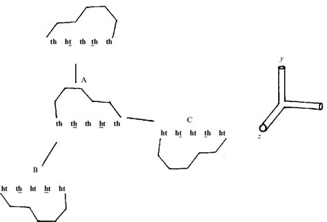 On The Right Three Axes Are Presented Z Is The Viewing Axis X Is The Download Scientific