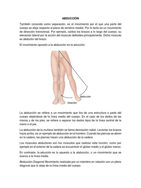 Abducción Y Aducción En Anatomía Pdf Codo Hombro