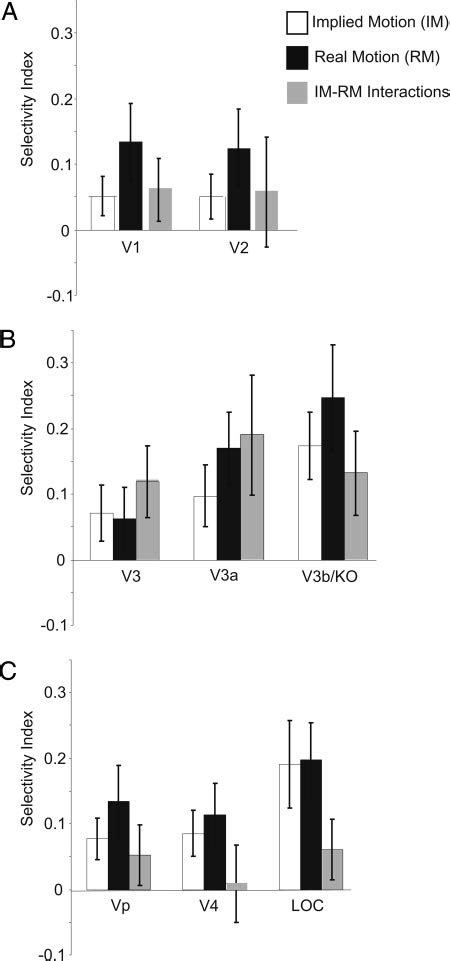 Implied And Real Motion Selectivity In Early Visual Areas V3bko And Download Scientific