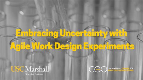 Embracing Uncertainty With Agile Work Design Experiments
