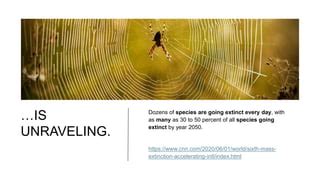 Oppose The Pipeline PPT