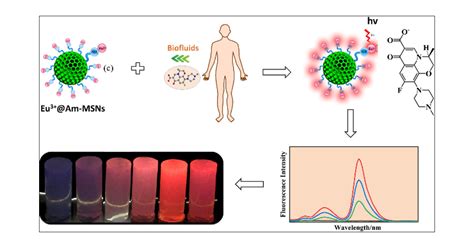 Visual Monitoring Of Levofloxacin In Biofluids By Europiumiii