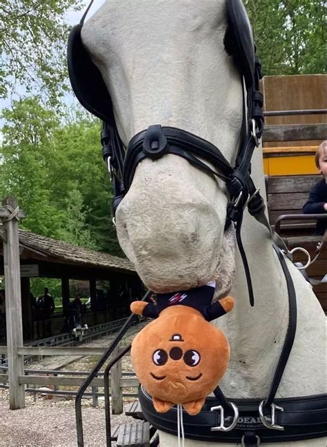 Chat With Han Jisung Enjoy Free AI Character Roleplay FlowGPT Han Jisung RP