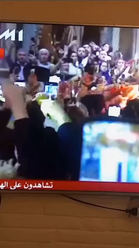 Madline Tabar Madlen Tabar • Instagram Photos And Videos