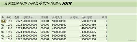 002 abap 新语法：表关联时使用不同长度字段进行join concat、right、lpad、substring abap sql