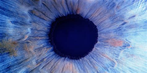 The Effect VocalEyes