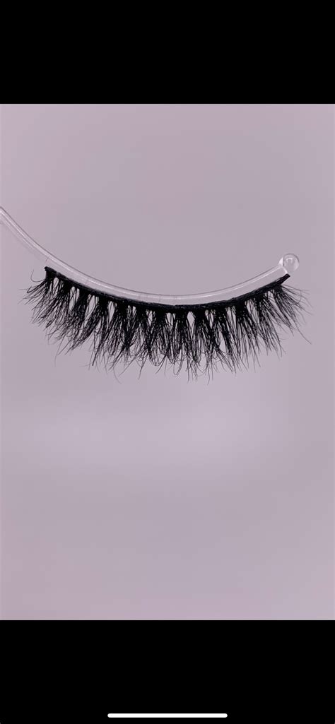 Classy Pretty Pink Lab