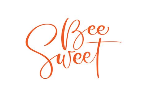 꿀벌 달콤한 서예 문자 아기 텍스트 벡터 손 글자 아이들은 흰색 배경에 고립 인용 로고 섬유 타이포그래피 포스터 인쇄용 컨셉 0명에 대한 스톡 벡터 아트 및 기타 이미지