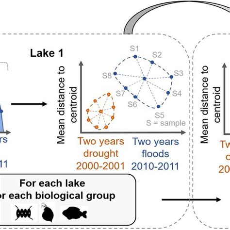 Steps Used To Calculate Temporal Environmental Variability And β