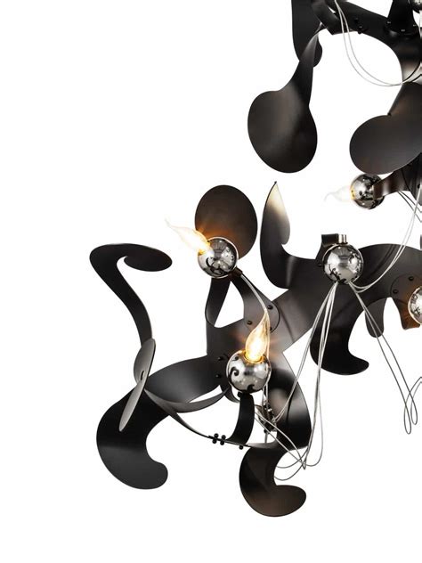 Kelp Brand Van Egmond