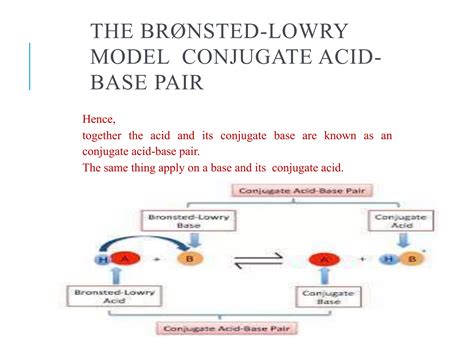 Bronsted lowry acid and base | PPT | Chemistry | Science
