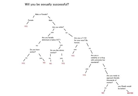 Dating Success Flowchart Rpurplepilldebate