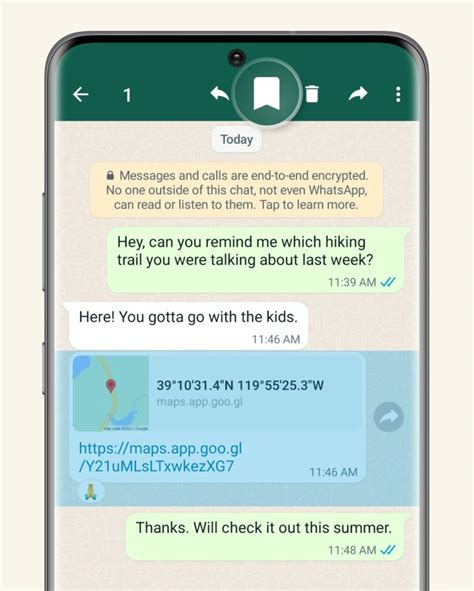 امکان ذخیره کردن پیام‌های ناپدید شونده در واتس‌اپ فراهم شد