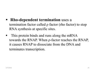 Gene Expression Pptx
