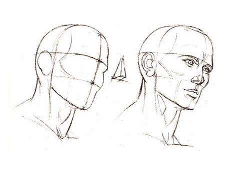Как нарисовать человека сбоку лицо поэтапно 82 фото