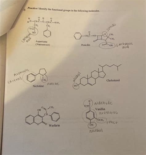 Solved Practice Identify The Functional Groups In The Solved Practice Identify The Functional Groups In The