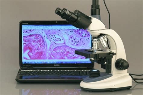 Simple Vs Compound Microscope How They Work And How They Differ