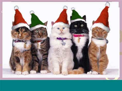 Презентація "Конус і циліндр"