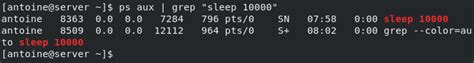 Understanding Processes On Linux Types Of Process In Linux Creating