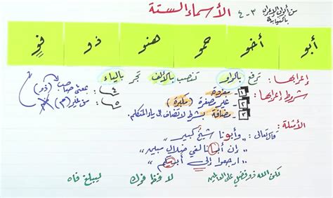 Study Online Basic Arabic Grammar Live With A PhD Professor