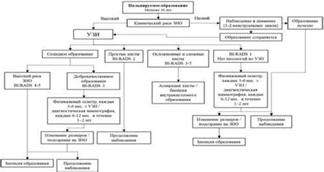 Bi Rads 4 как расшифровать результаты маммографического исследования