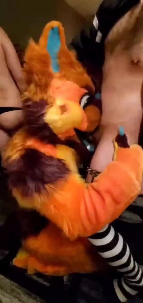 Twink Furry Sucks Dick 日本語で