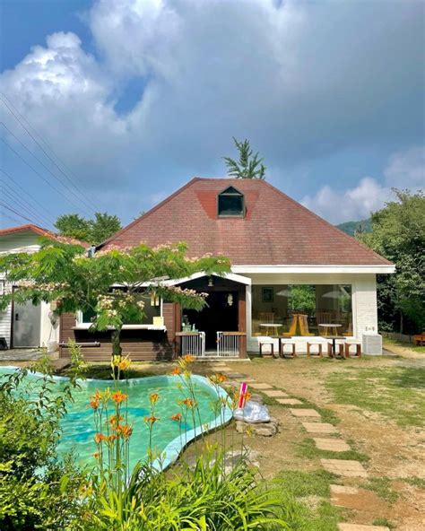 반려생활 애견동반 카페 물에 발 담그러 갈 댕댕이 모여라 계곡이 있는 카페 모음top4 남양주 소소온기 논산 카페벌곡 광주 몽쥬이에 양평 뽀야쌀롱