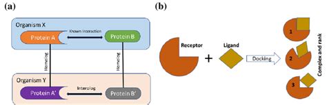 8 Classical Computational Methods For Protein Interaction Binding