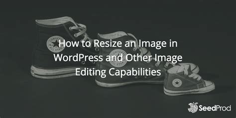 How To Resize An Image In WordPress And Other Image Editing Capabilities SeedProd