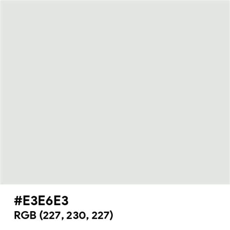 Washed Out White Color Hex Code Is E3e6e3