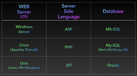 공부 정리 JSP ASP PHP란