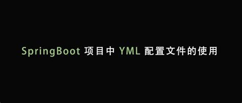 springboot 项目中 yml 配置文件的使用 极客之音