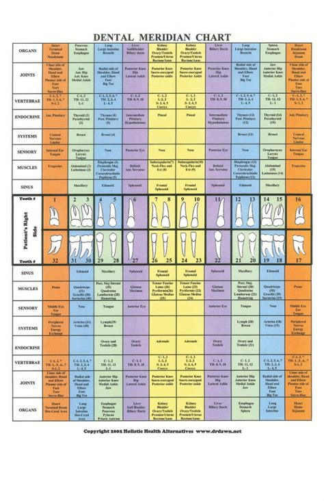 Dental Meridians Initial Wellness Exam Katy Tx
