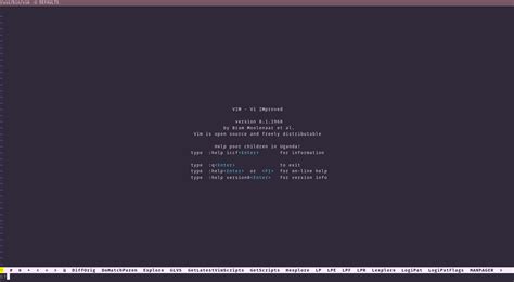 wildmenu appears as pink scrollbar on left side · issue 11108 · neovim