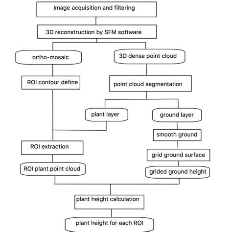 Flow Chart Of The Processing Pipeline Download Scientific Diagram