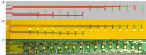 A The 2D CAD Design Of Dual Layer Flex PCB B Real Image Of Download Scientific Diagram