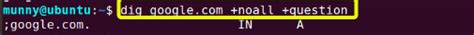 The Dig Command In Linux Practical Examples