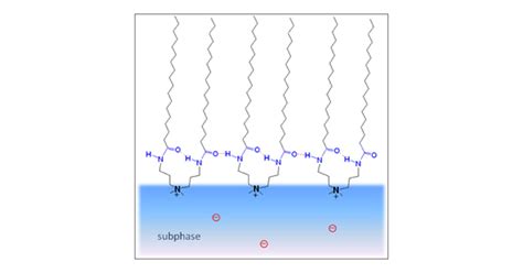 Effect Of Functional Group On The Monolayer Structures Of Biodegradable