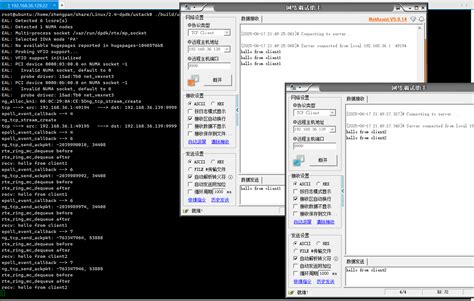 用户态协议栈：基于dpdk的自定义网络协议栈 Csdn博客