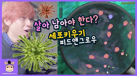 먹고 커져서 살아 남아야 한다 세포 키우기 피드앤그로우 좌절주의ㅋ ♡ 순발력 추천 플래시 게임 놀이 Flash Game Play 말이야와게임들