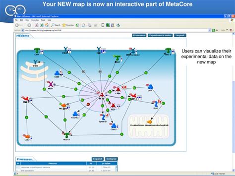 Ppt Metacore Data Analysis Suite And Functional Analysis Powerpoint Presentation Id6164807
