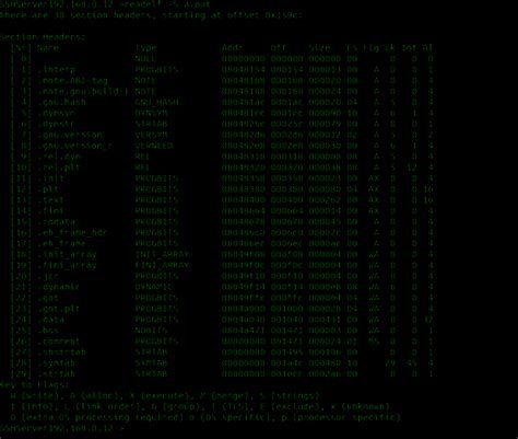 Elf File Format Infosec