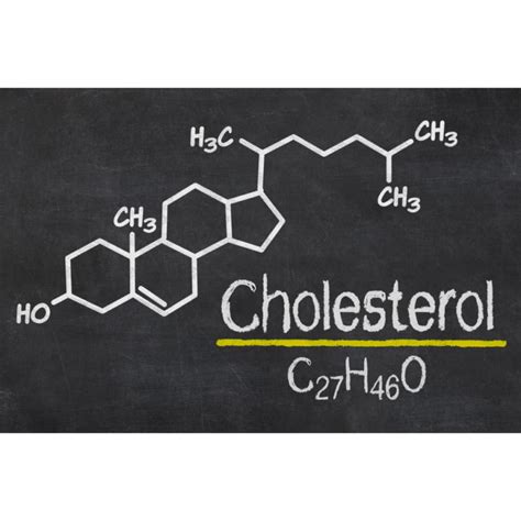 100NO 570 Cholesterol The Good And The Bad Marcus Pearce