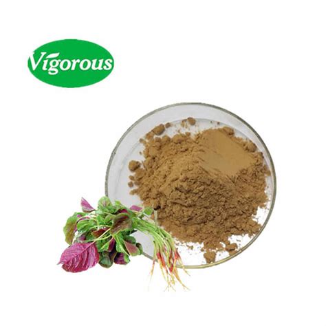 Free Sample Amaranthus Leaf Extract Haccp 101 Organic Amaranth Extract