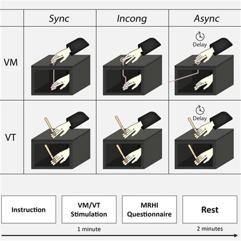Experimental Paradigm A Experimental Design Illustration Of Download Scientific Diagram