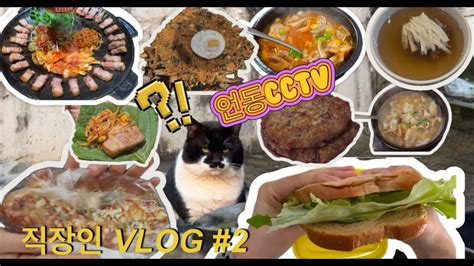 직장인 출근 브이로그 솥뚜껑삼겹살 점심도시락 돼지국밥 우래옥 평양냉면 순희네빈대떡 갓덴스시 탭샵바 Youtube