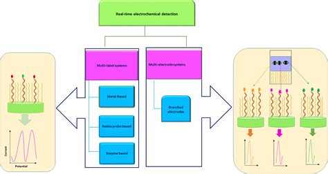 Electrochemical Biosensors In Healthcare Services Bibliometric