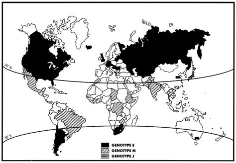 Varicella Zoster Virus An Overview